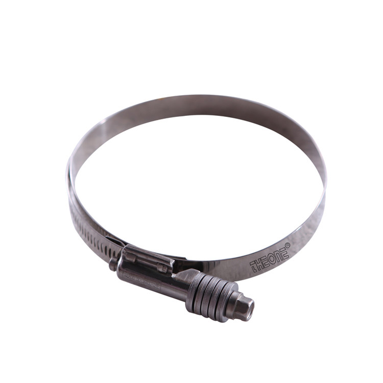 China High Torque Constant Style Tension With Washer Hose Clamp factory ...