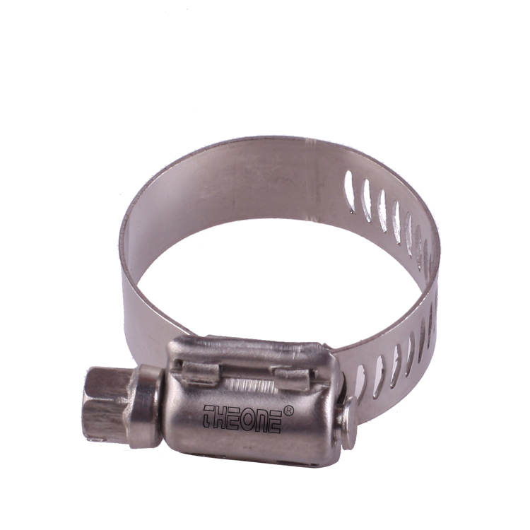 China 14mm Bandwidth Worm Gear Perforated Band Stainless Steel ss201 ...